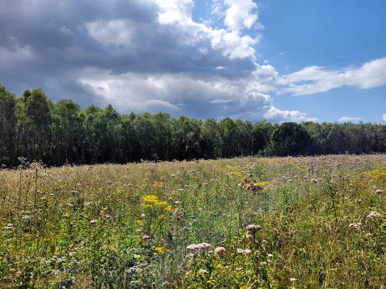 Neolithic camp Routes for Walking and Hiking | Komoot