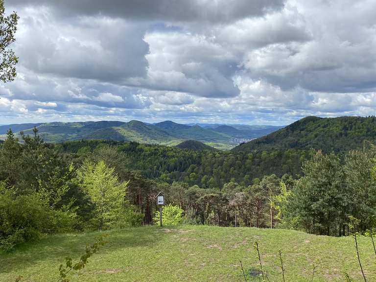 Aussichtspunkt – Orensfels Runde von Burrweiler | Wanderung | Komoot