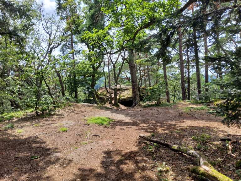 Grotte du Brotsch Routes for Walking and Hiking | Komoot