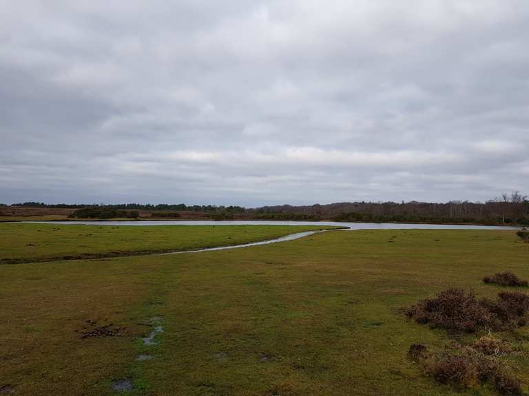 Whitten Pond Routes for Walking and Hiking | Komoot