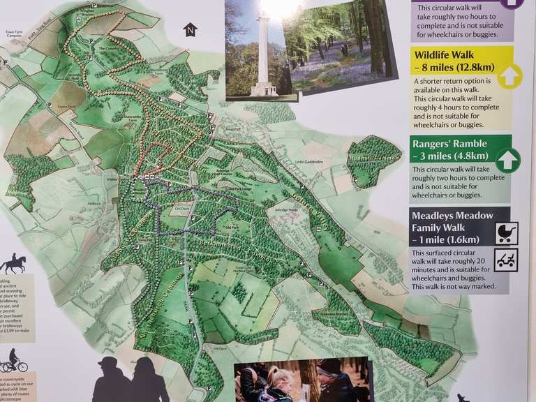 Ashridge Estate Cafe: Wanderungen und Rundwege | komoot