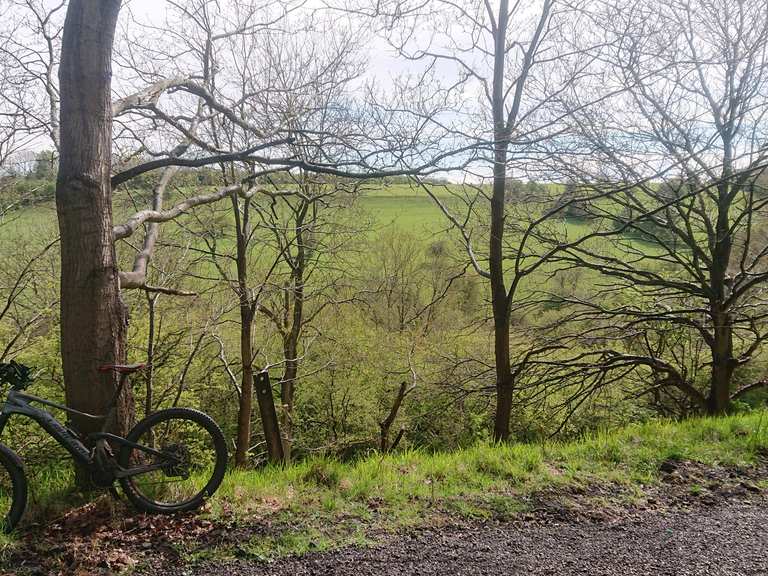 Rowthorne Trail: Mountainbike-Touren und -Trails | komoot