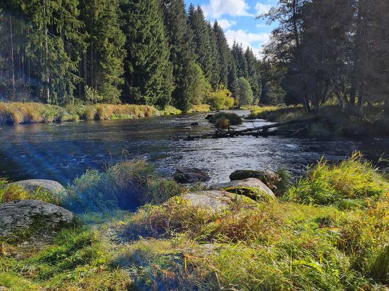 Blick auf den Schwarzen Regen – Wilder Fluss Runde von Sohl | Wanderung ...