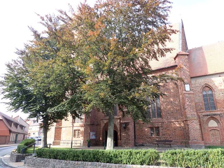 Crivitz: Die Stadtkirche : Radtouren und Radwege | komoot