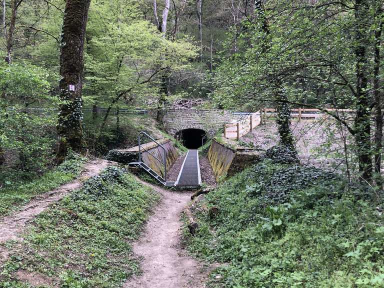 Abstieg des Manternacher Fiels – Michelslay Rondje vanuit Manternach ...