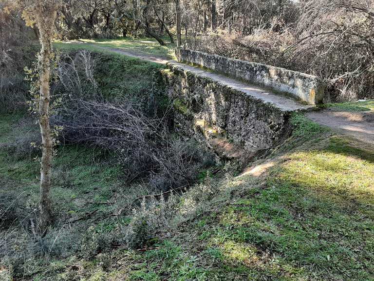 Bosque de Valdelatas – circular desde la Universidad Autónoma de Madrid ...