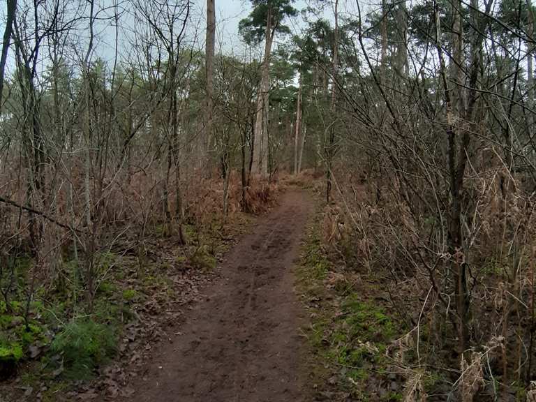 Droge heide - herstelgebied wandelroutes en hikes | Komoot