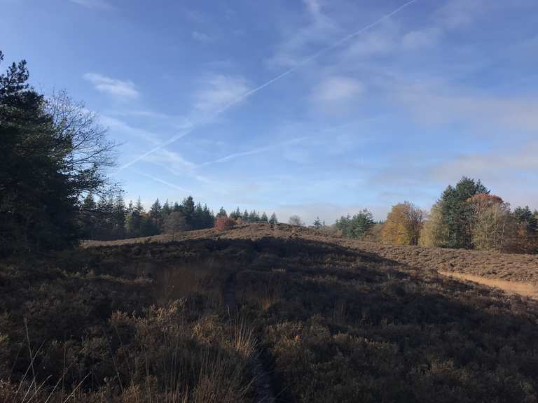 Aussichtspunkt Moorlandschaft hinter Heerderstrand: Wanderungen und ...