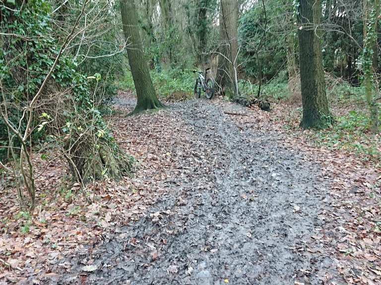 Far Tupton Wood - Mountain Bike Trails & Tracks | Komoot