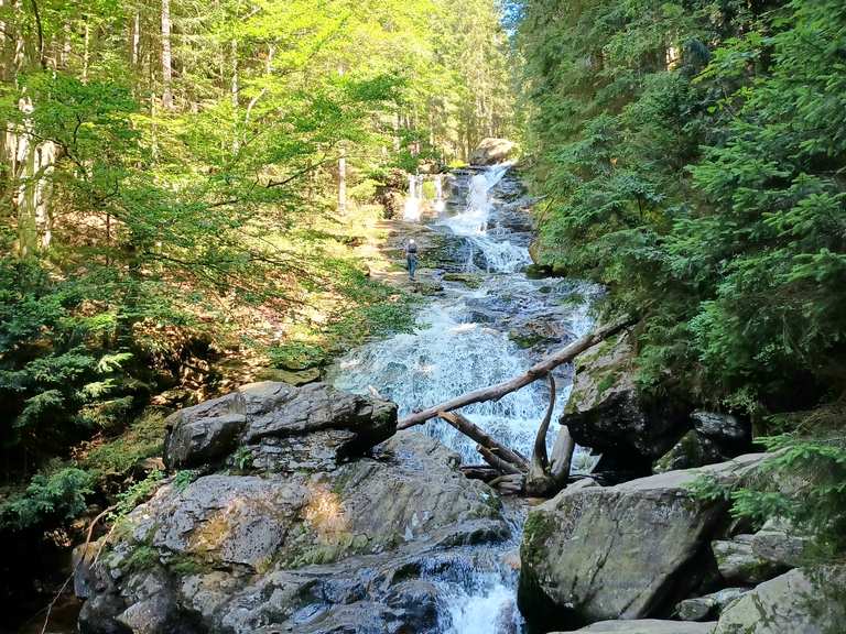 Riesbach: Wanderungen und Rundwege | komoot
