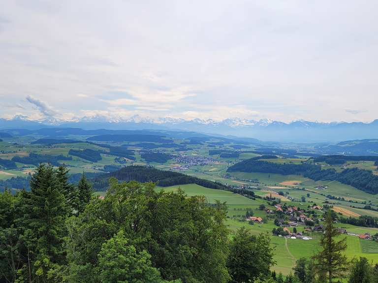 Bantiger – Bantiger Runde von Krauchthal | Wanderung | Komoot