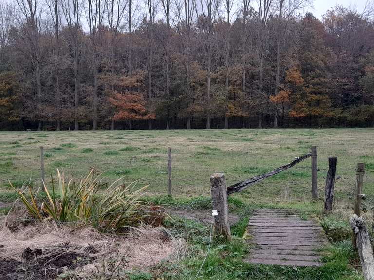 Marcel van Miegroet dreef – Makegemse bossen Rondje vanuit Munte ...