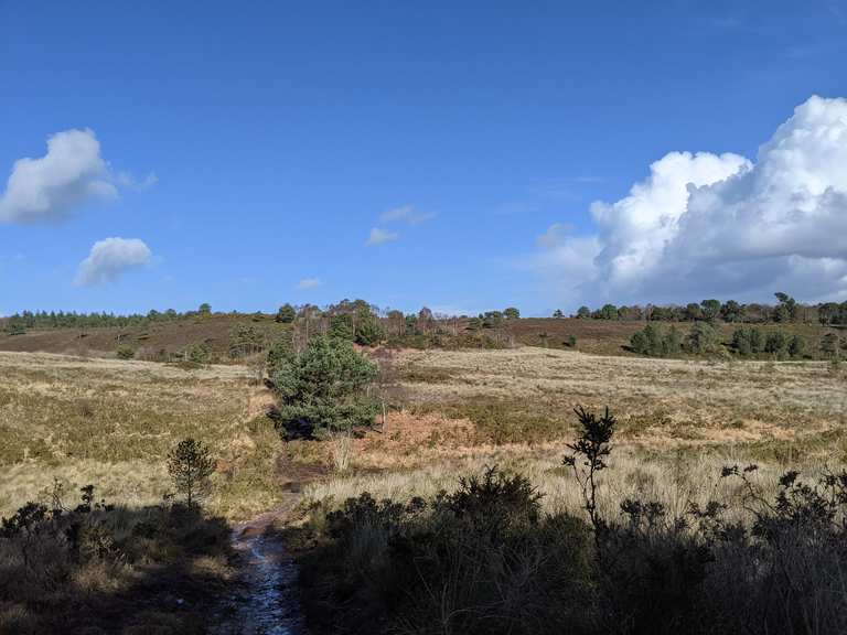 View of the Mantle - Mountain Bike Trails & Tracks | Komoot