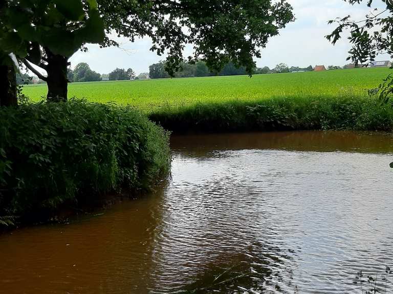 wandelen langs de Grote Nete - wandelroutes en hikes | Komoot