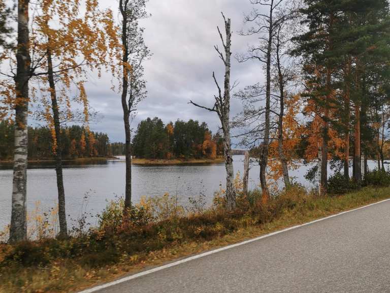 Puumala Archipelago Route – Loop from Puumala | ride | Komoot
