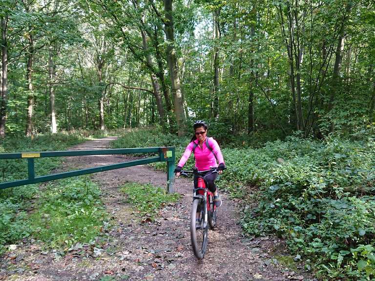 Clumber Park - Mountain Bike Trails & Tracks | Komoot