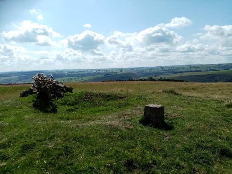 TGO: Quiet Walks in the Peak District - Coombs Dale and Longstone Moor ...