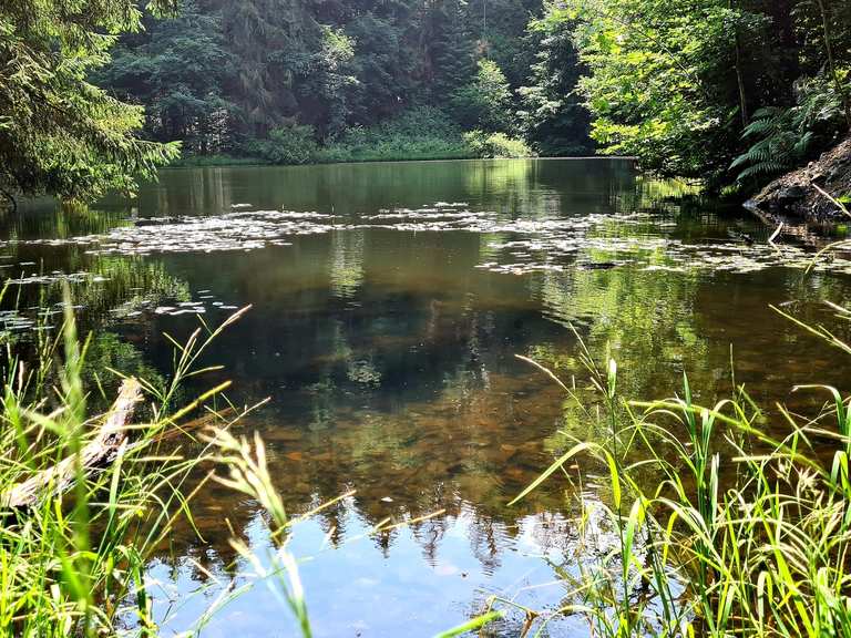 Der Rote See ( Eingang ): Mountainbike-Touren und -Trails | komoot