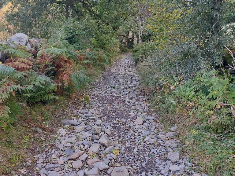 Sarn Helen Roman road Mountain Bike Trails & Tracks | Komoot