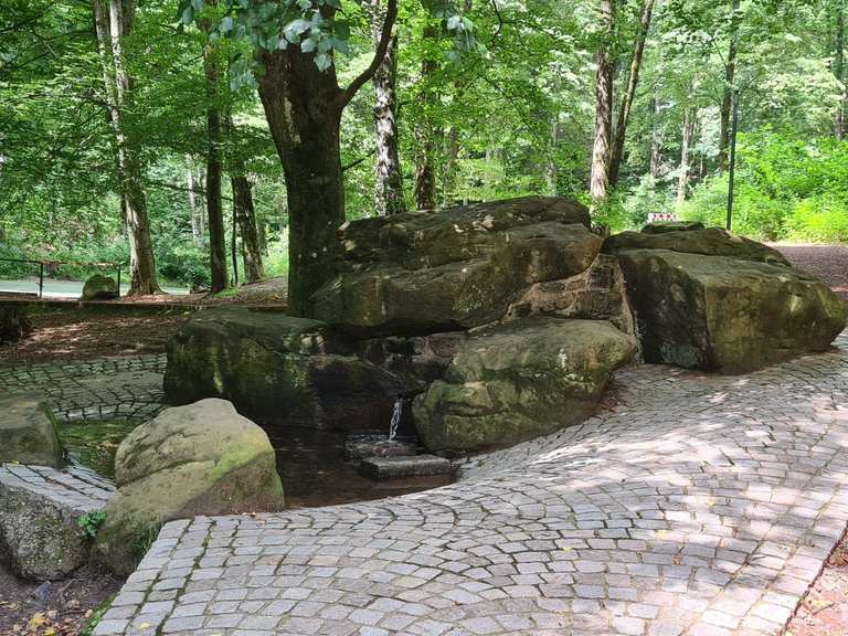 Rohrbacher Weiher mit Kneipp Becken: Mountainbike-Touren und -Trails ...