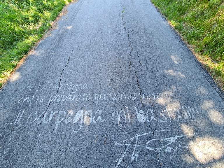 Monte Carpegna (Passo Marco Pantani): percorsi per bici da corsa | Komoot