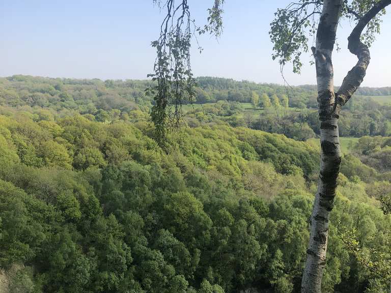 Ercall Hill & Woods Routes for Walking and Hiking | Komoot