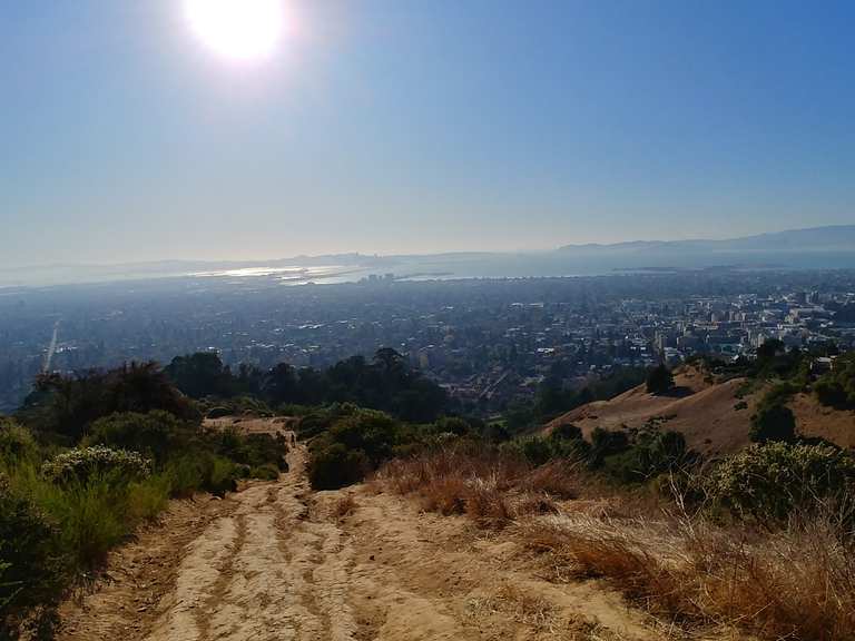 Stonewall Panoramic Trail loop — Claremont Canyon Regional Preserve ...