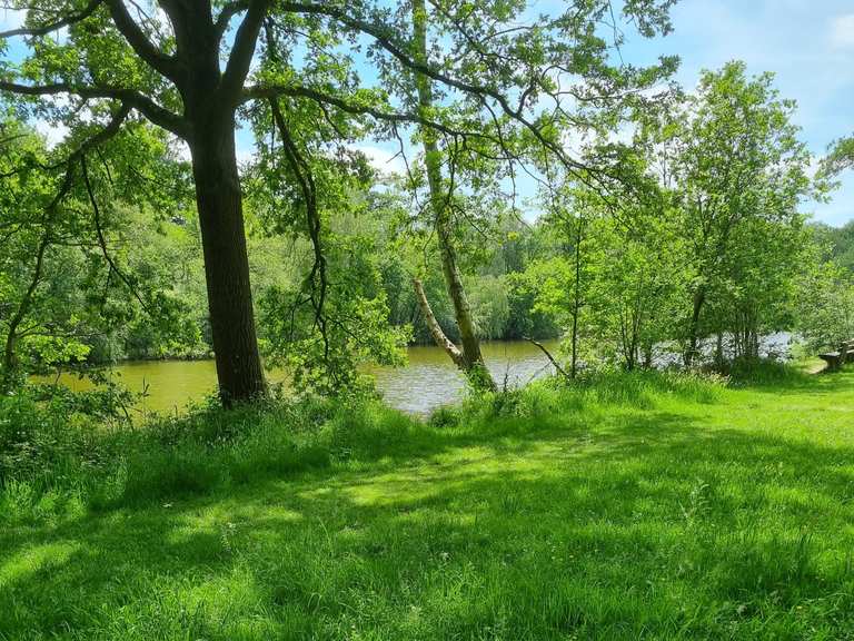 Provinciaaldomein Het Leen (Eeklo) - fietsroutes en kaart | Komoot