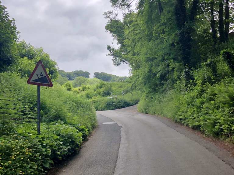 Crowcombe Hill, very challenging climb! - Road Cycle Routes and Map ...