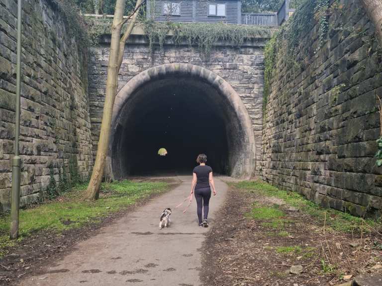 Dovedale & the Tissington Trail loop from Ashbourne — Peak District ...