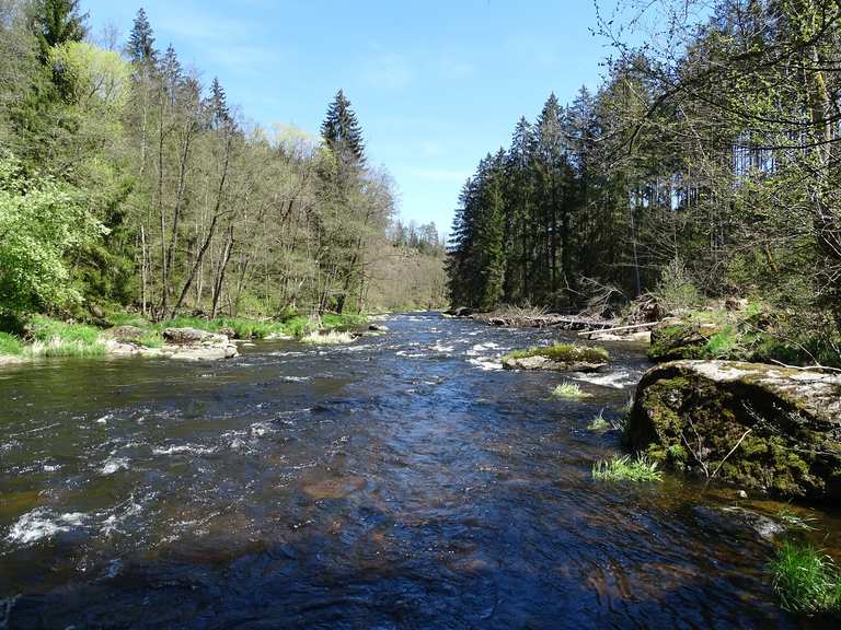 Schwarzer Regen – Bayrisch Kanada Runde von Altnußberg | Wanderung | Komoot