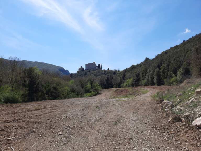 Sentiero nel Bosco da La Bruna al Castello di Antognolla: percorsi ...