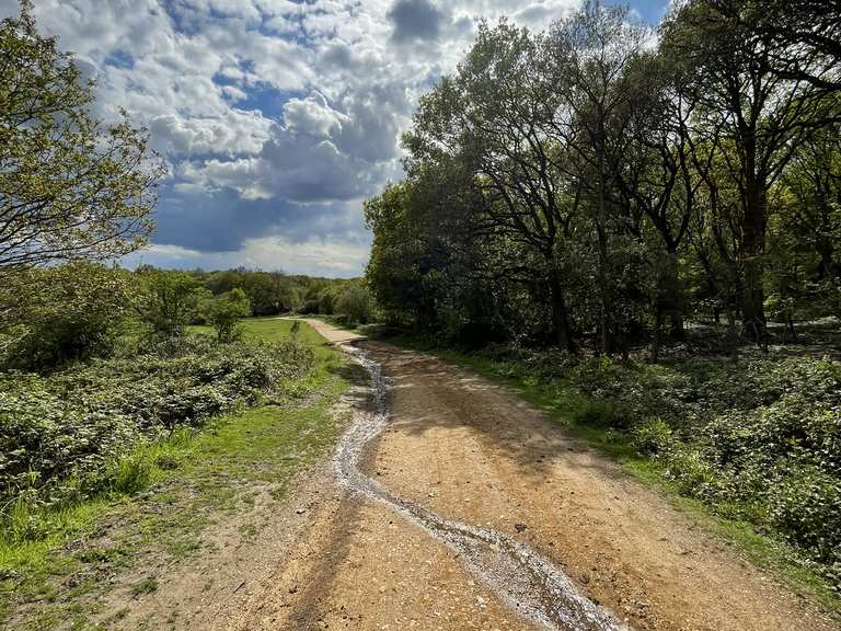 River Lea, Epping Forest and Roding Valley loop from Stratford | gravel ...