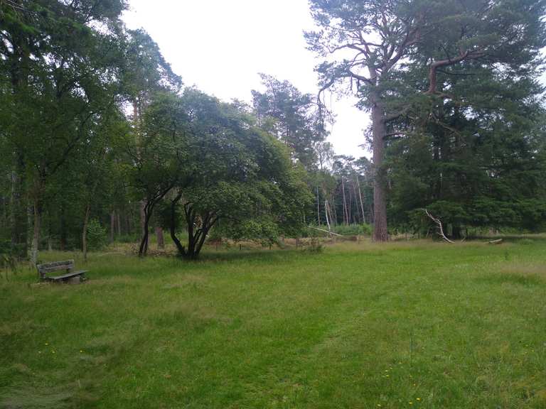 Landgoed Pijnenburg – Lage Vuursche Rondje vanuit Hollandsche Rading ...