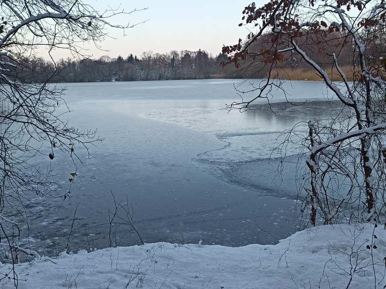 Sunder Seen mit Seerosen und kapitalen Karpfen : Radtouren und Radwege ...