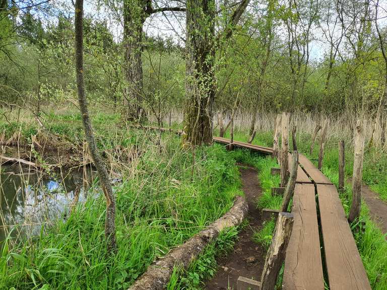 Natuurreservaat Lovenhoek wandelroutes en hikes | Komoot