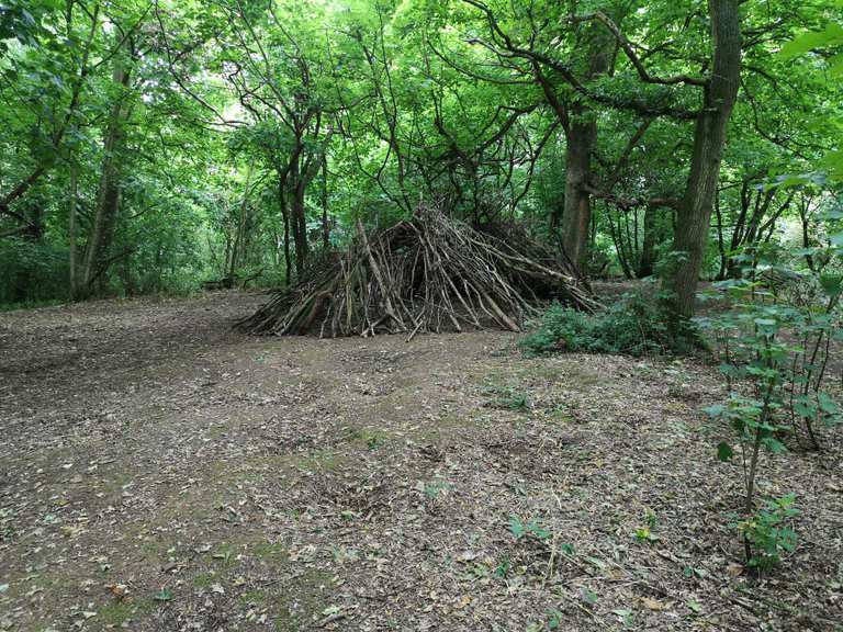 Lassington Wood Bluebells Routes for Walking and Hiking | Komoot