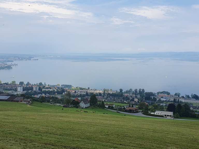 Aussichtspunkt Rorschacherberg: Mountainbike-Touren und -Trails | komoot