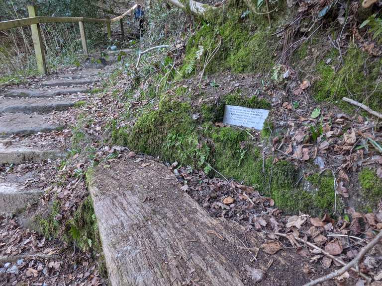 Ouse Valley Viaduct & Ardingly Reservoir loop — High Weald AONB | hike ...