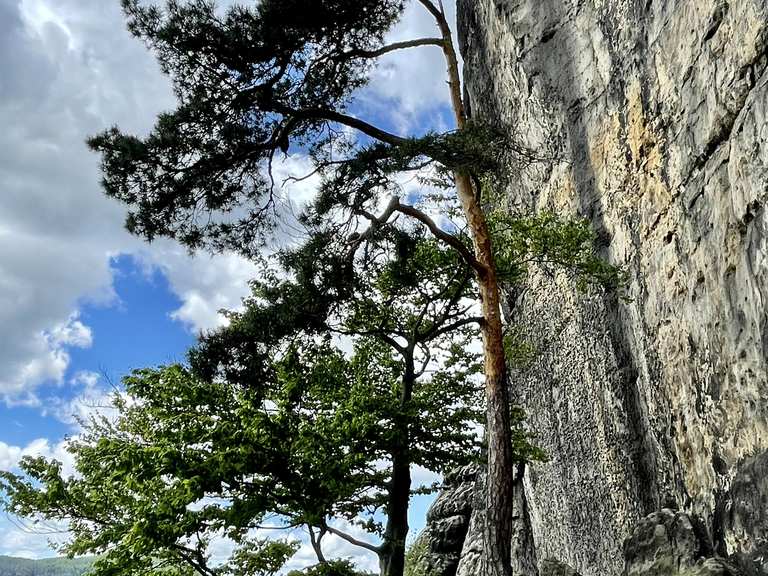 Kanstein-Boofe: Wanderungen und Rundwege | komoot