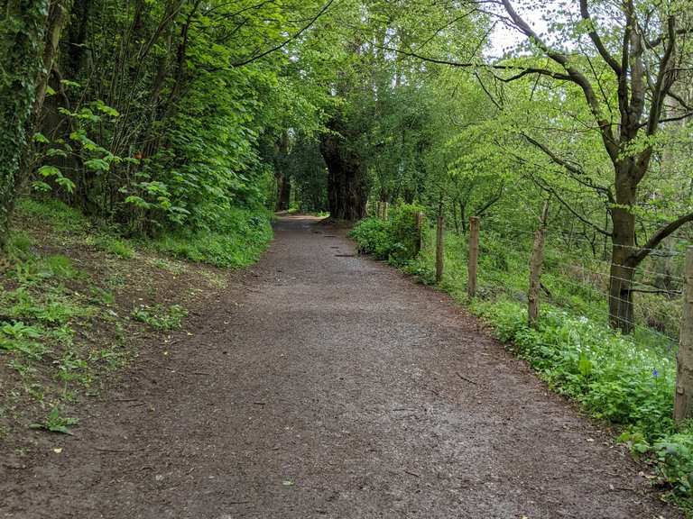 Killerton Park Cycle Track Cycle Routes and Map | Komoot