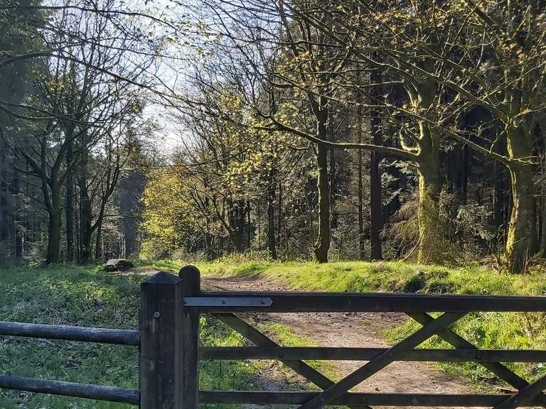 Macc Forest Reitweg: Mountainbike-Touren | komoot