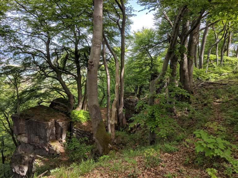 Kanstein am Thüster Berg: Wanderungen und Rundwege | komoot