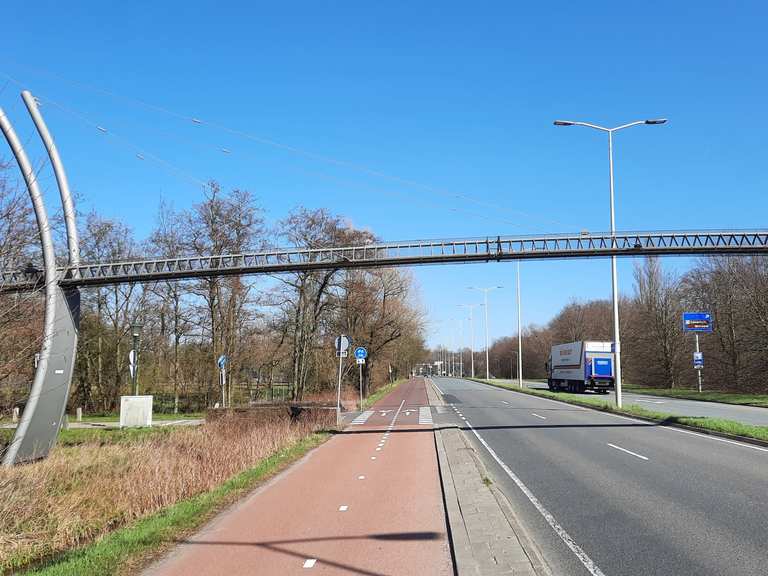 Squirrel bridge over the Benoordenhoutseweg Routes for Walking and ...