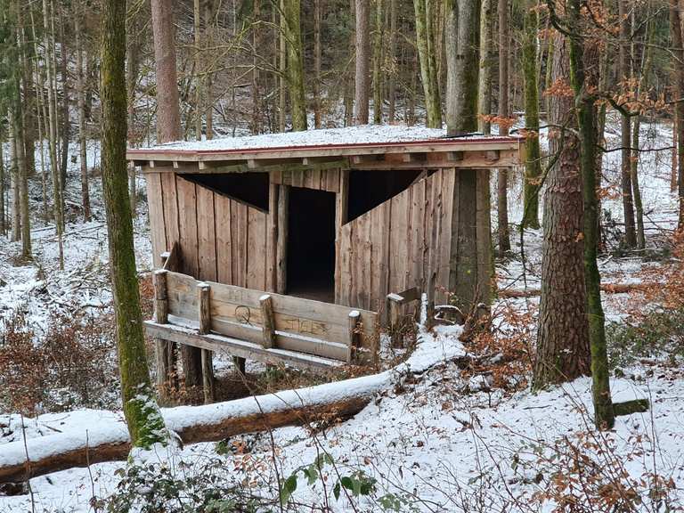 Tal der Generationen, Rinnthal: Wanderungen und Rundwege | komoot