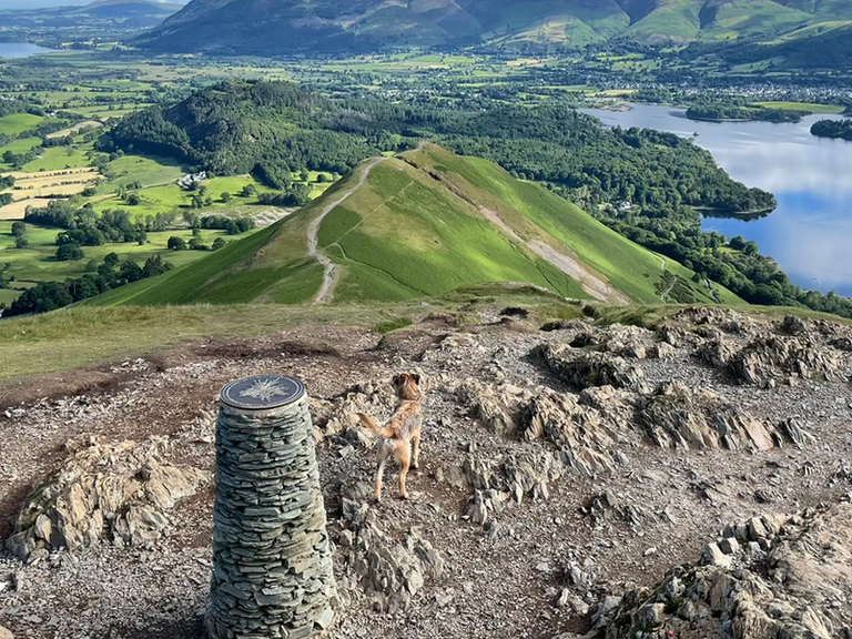 Catbells Summit Routes for Walking and Hiking | Komoot