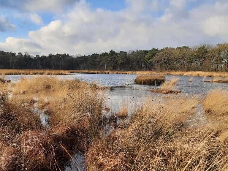 Heidegebied Nationaal Park Dwingelderveld wandelroutes en hikes | Komoot