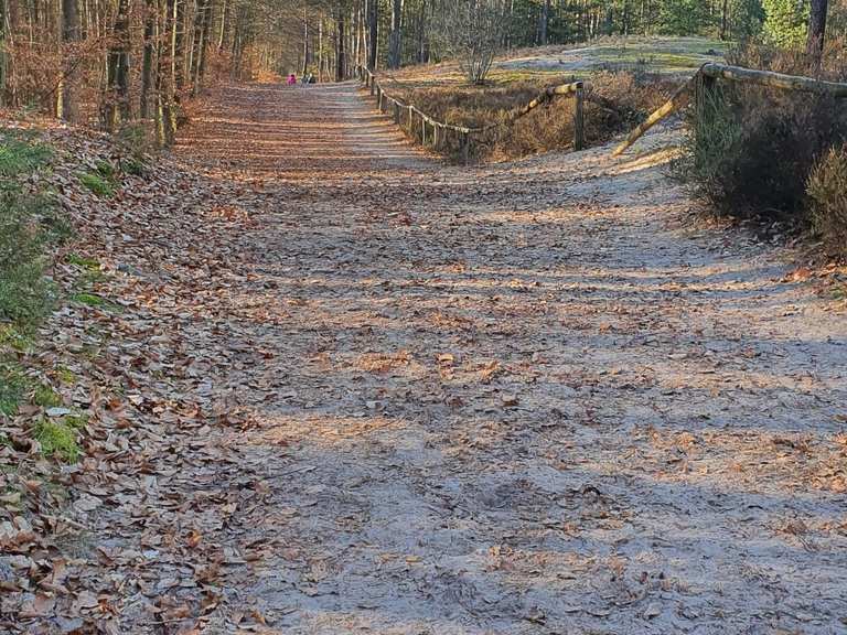 Dünenpfad Dudenhofen: Wanderungen und Rundwege | komoot