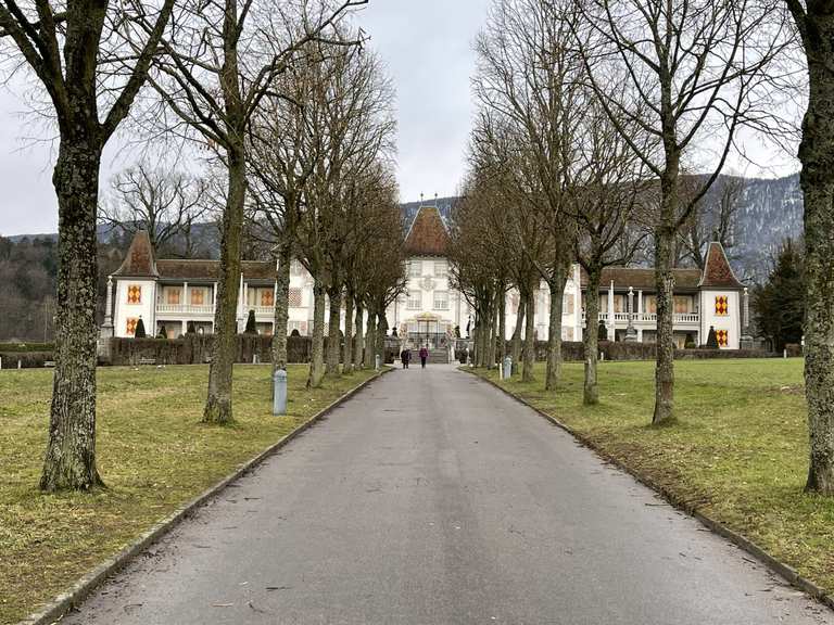 Waldegg Castle Routes for Walking and Hiking | Komoot