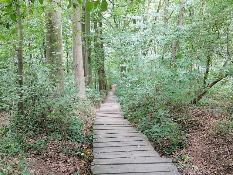 Calvados route in de Vlaamse Ardennen Routes for Walking and Hiking ...